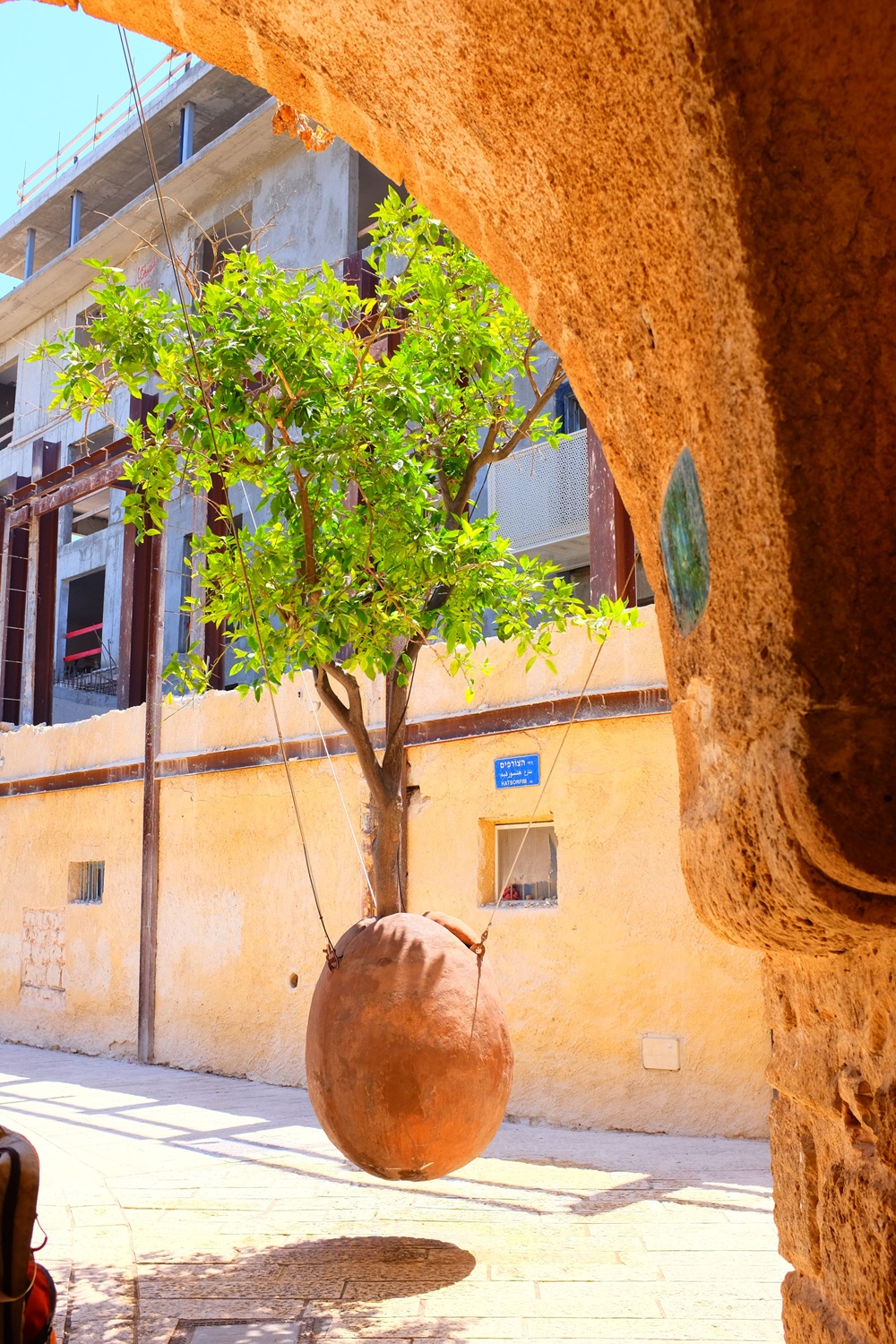 Citrus and Conflict: The Rise and Fall of Jaffa's Orange Industry ...